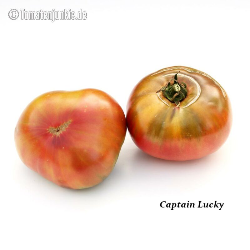 Captain Lucky • Sortenbeschreibung