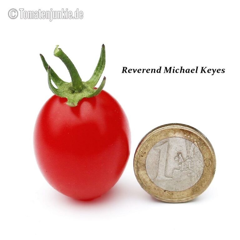 Reverend Michael Keyes • Saatgut